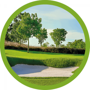 INOQ mycorrhiza - Mycorrhizal fungi for strong plants